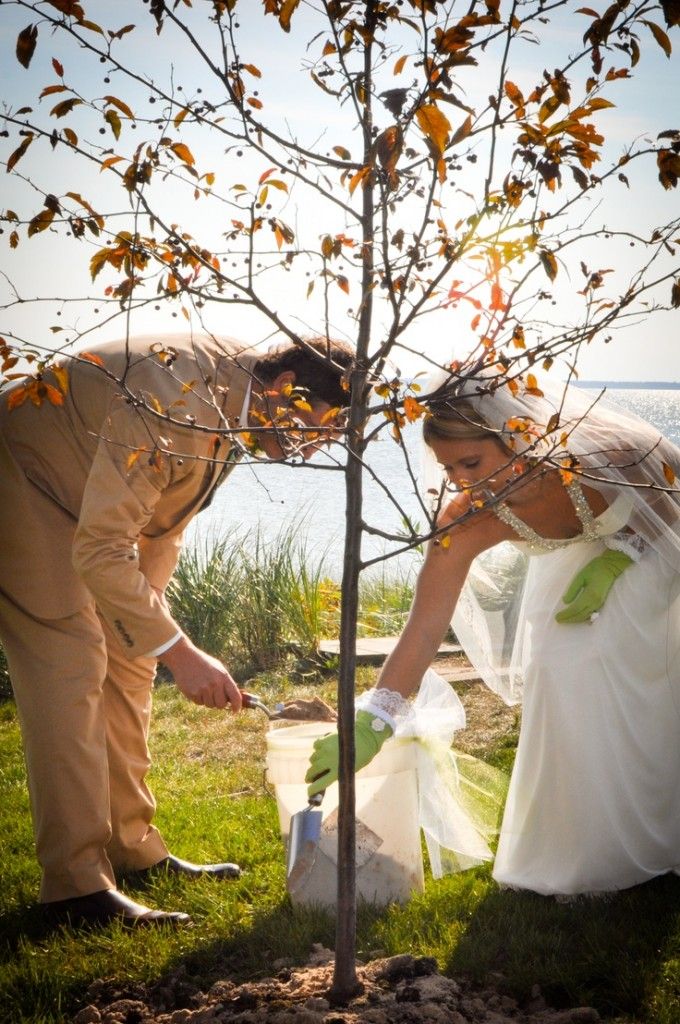 Tree planting ceremony – Chic, crystal clear, Celebrant ceremonies in ...